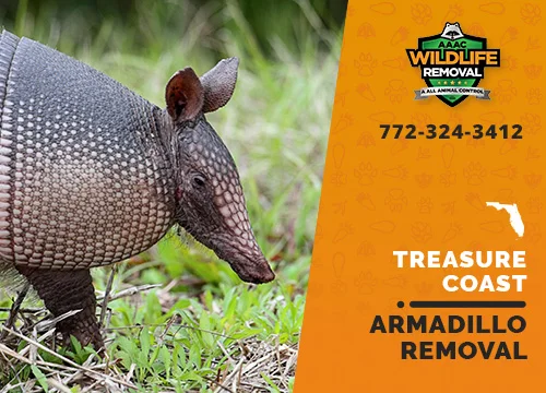 Armadillo - AAAC Wildlife Removal of Treasure Coast